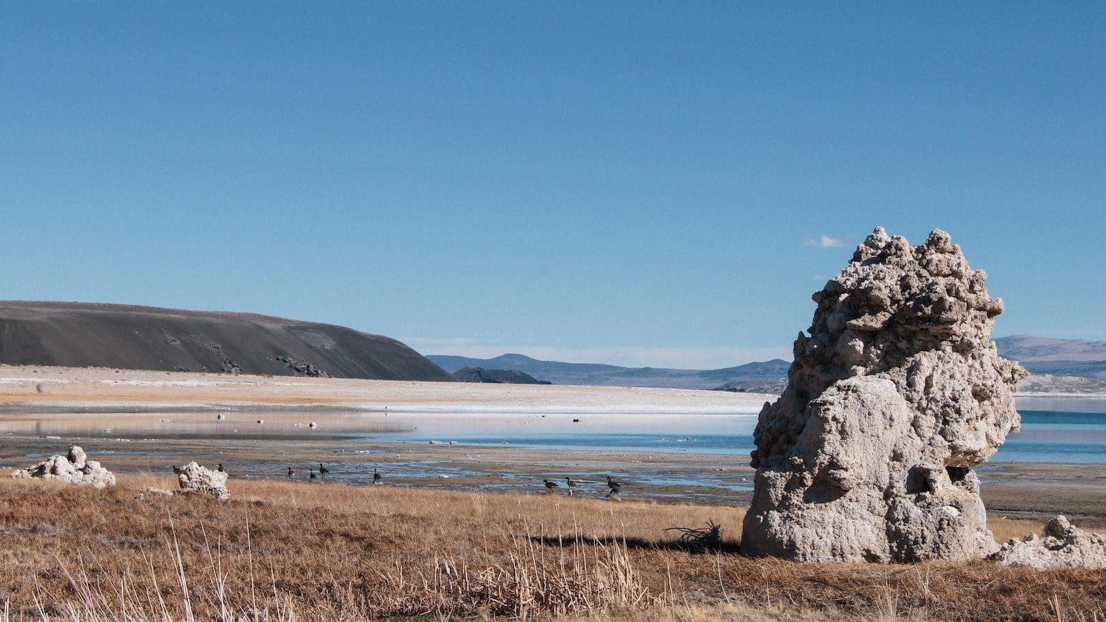 How To Get The Monos First Responder Discount